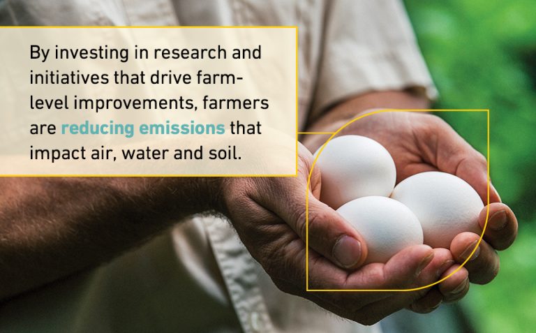 Sustainability – Saskatchewan Egg Producers